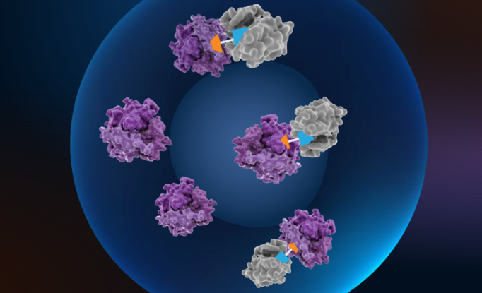 上海国际生物医药合作大会| 创新机制药物受关注：RIPTAC技术迎来里程碑进展 - 生物医药产业国际合作大会